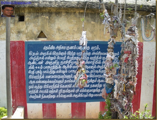 Dr.Ravishankar's blog: Yoga Hayagreevar temple at Chettypunyam near Chennai